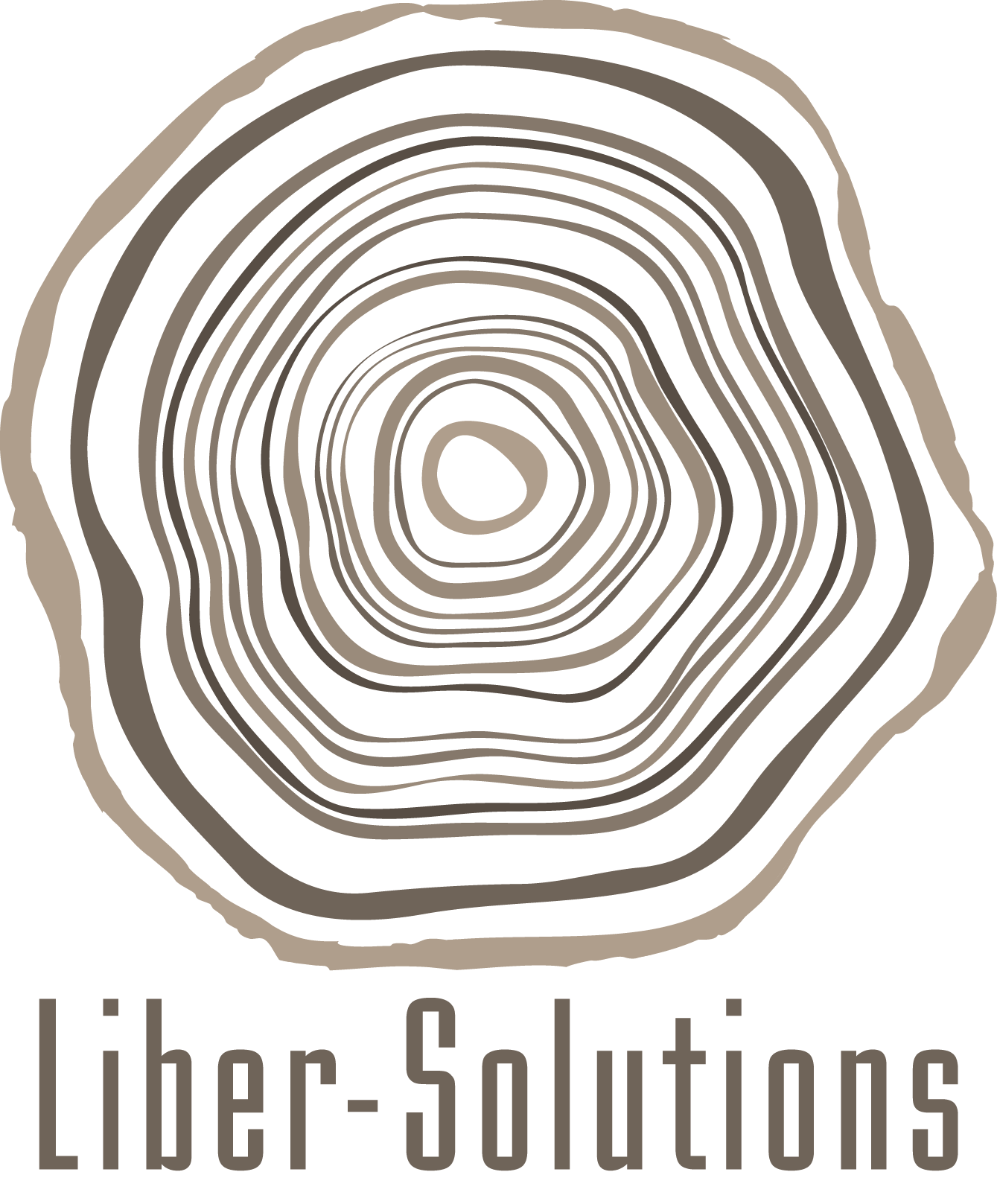cropped-Liber-Solution_LOGO-color-2.png – LIBER-SOLUTIONS